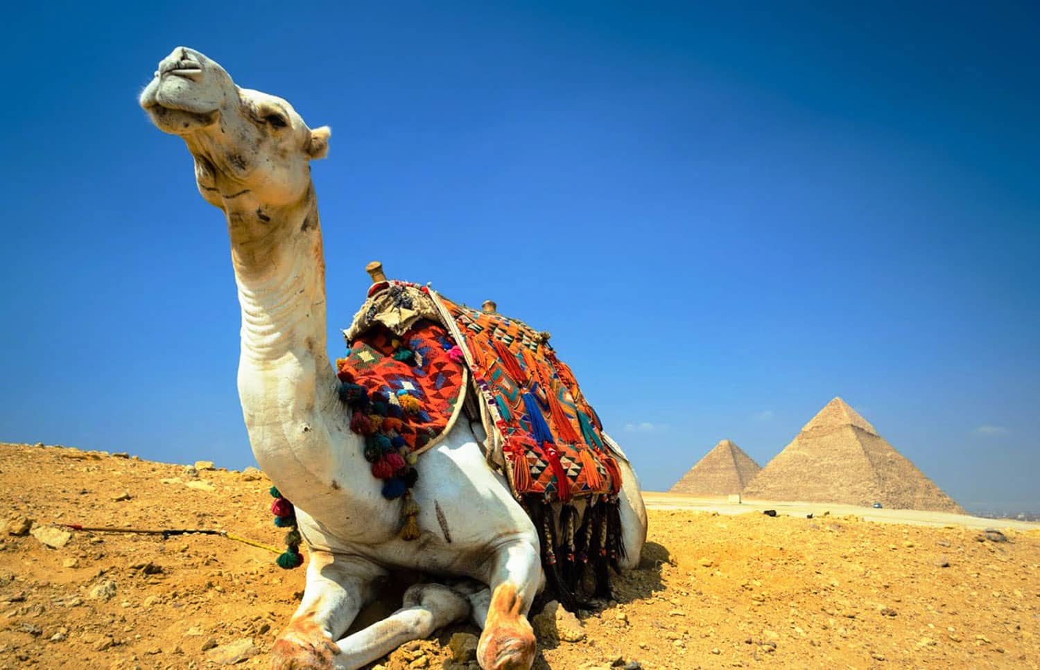 انخفاض كبير في تحويلات المصريين من الخارج والأمل حاليًا في قطاع السياحة ...