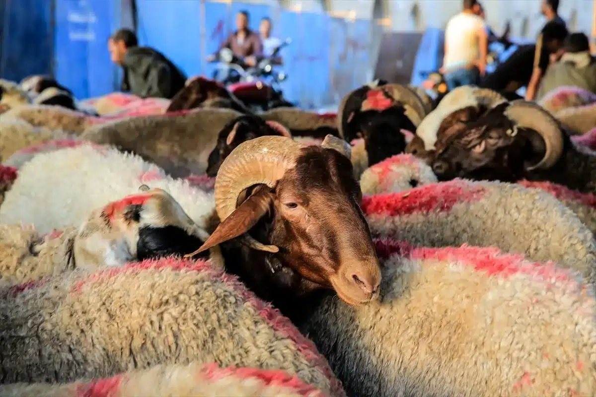 أخبار اقتصادية | الصرف اليوم